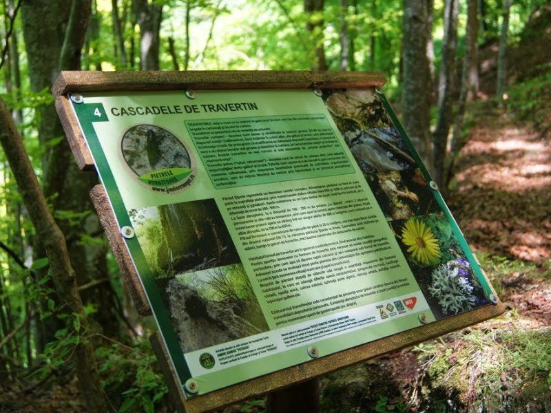 TransApuseana traseu turistic | drumetii | natura