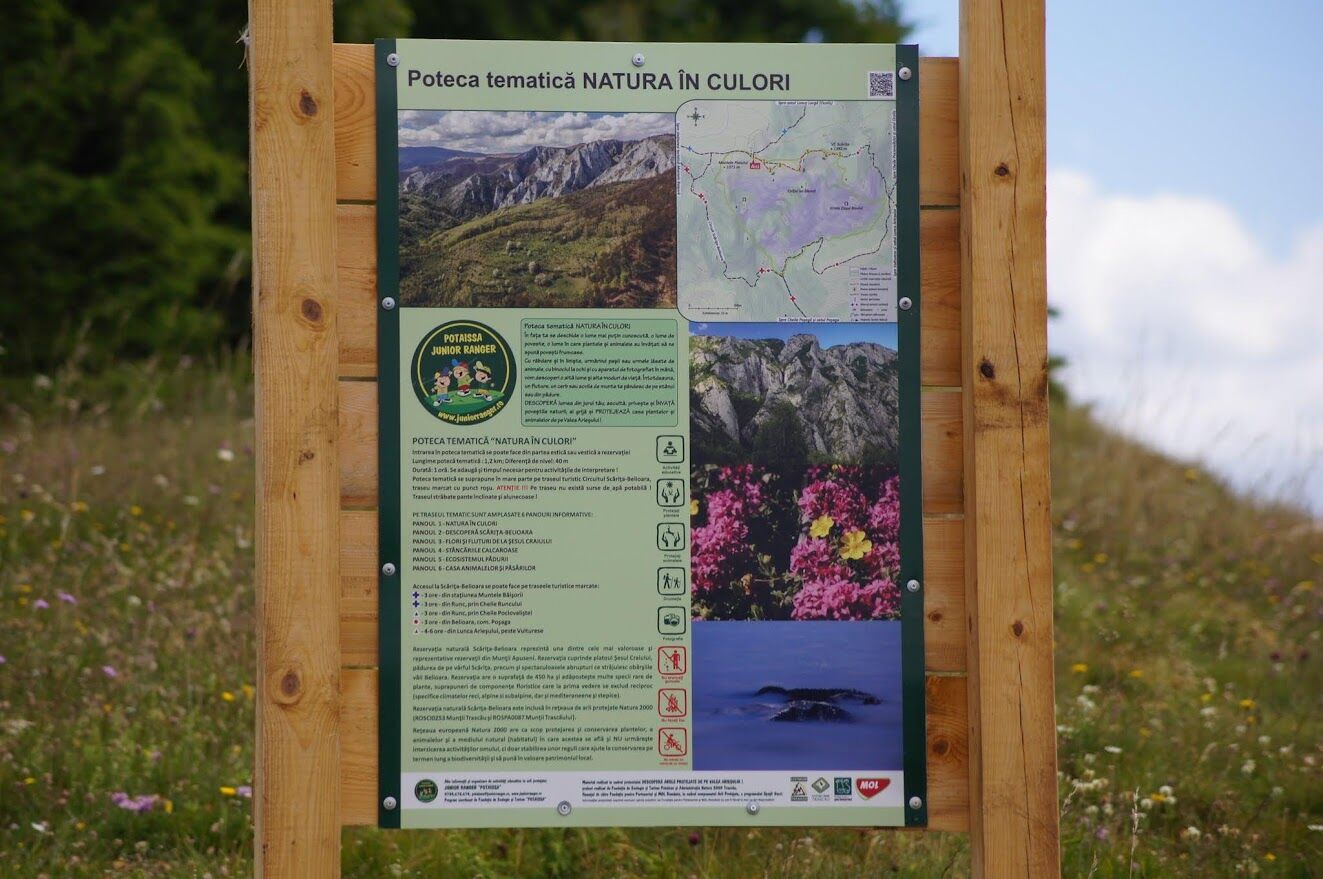 TransApuseana traseu turistic | drumetii | natura